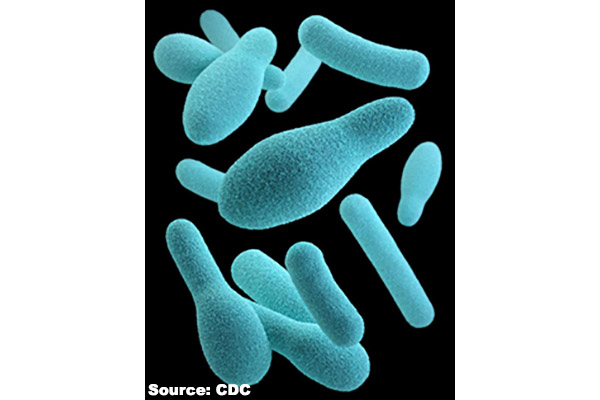 Overview — Botulinum Toxin — Biological — Nuclear/Biological/Chemical ...