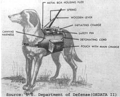Overview — Anti-Tank Dog — Anti-Tank — Land Mines — Weapons — Military ...