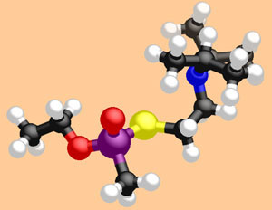 Overview — VX nerve agent — Chemical — Nuclear/Biological/Chemical ...
