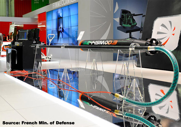 Overview — Black Snake lightweight towed array sonar — Sonars ...