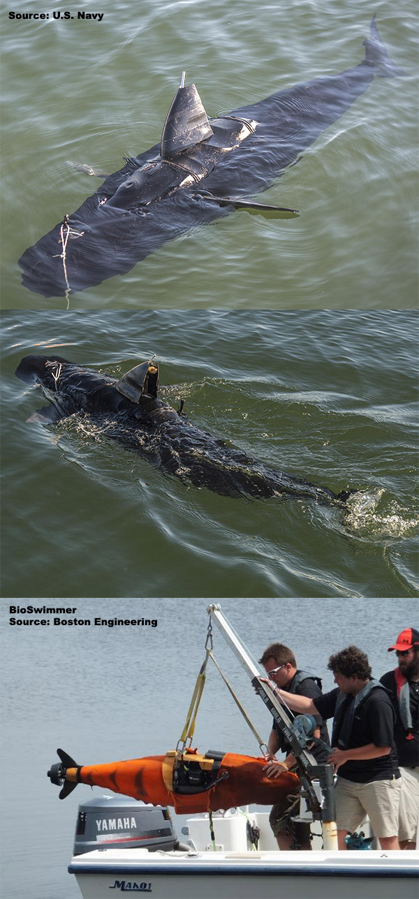 Overview — GhostSwimmer AUV — Uncrewed Sea Vehicles — Ships — Weapons ...